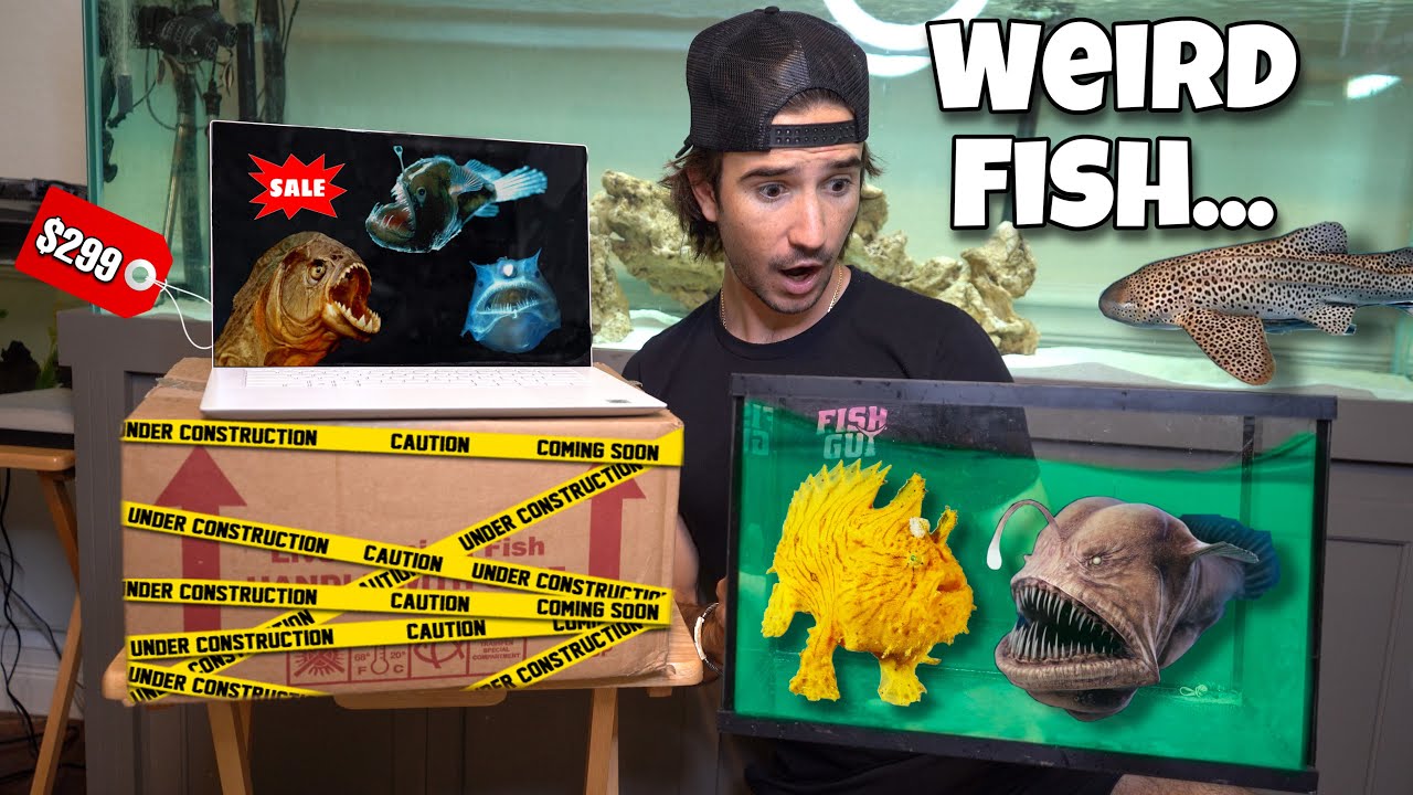 BUYING LIVE FISH MYSTERY BOX OFF THE WEB... *shark feeding* - YouTube