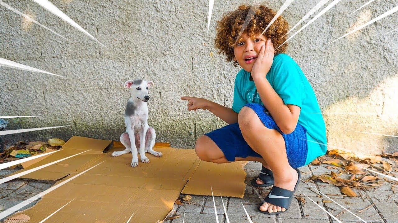 O CACHORRINHO DE RUA! - Historinha em Português (Isaac do VINE) - YouTube