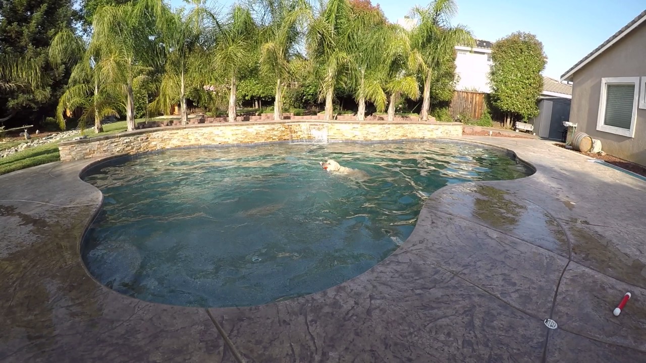 Bulletproof Pet Products - Water Rattler - Floating Fetch Toy - YouTube