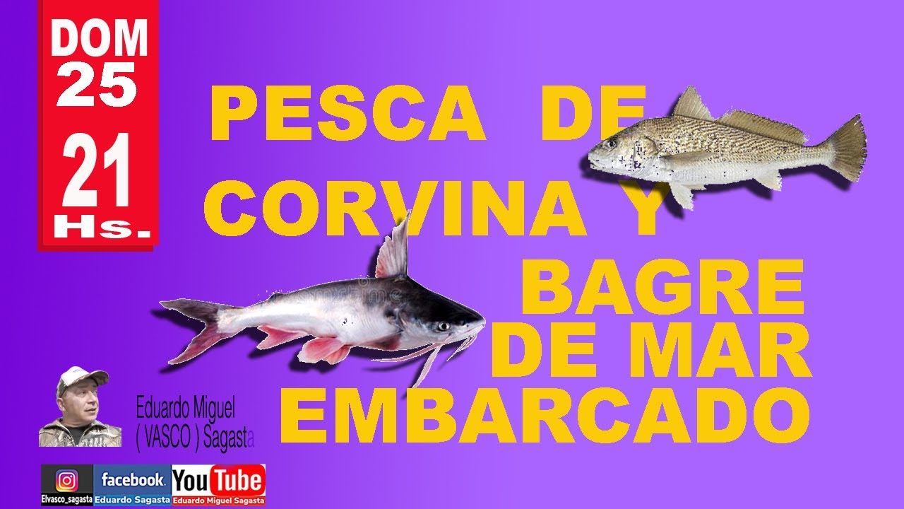PESCA DE CORVINA Y BAGRE DE MAR EMBARCADO - YouTube