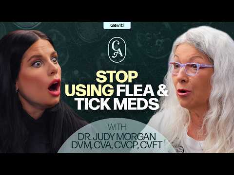 Your Pet’s Flea & Tick Meds Are Making Your Family Sick | Dr. Judy Morgan, DVM