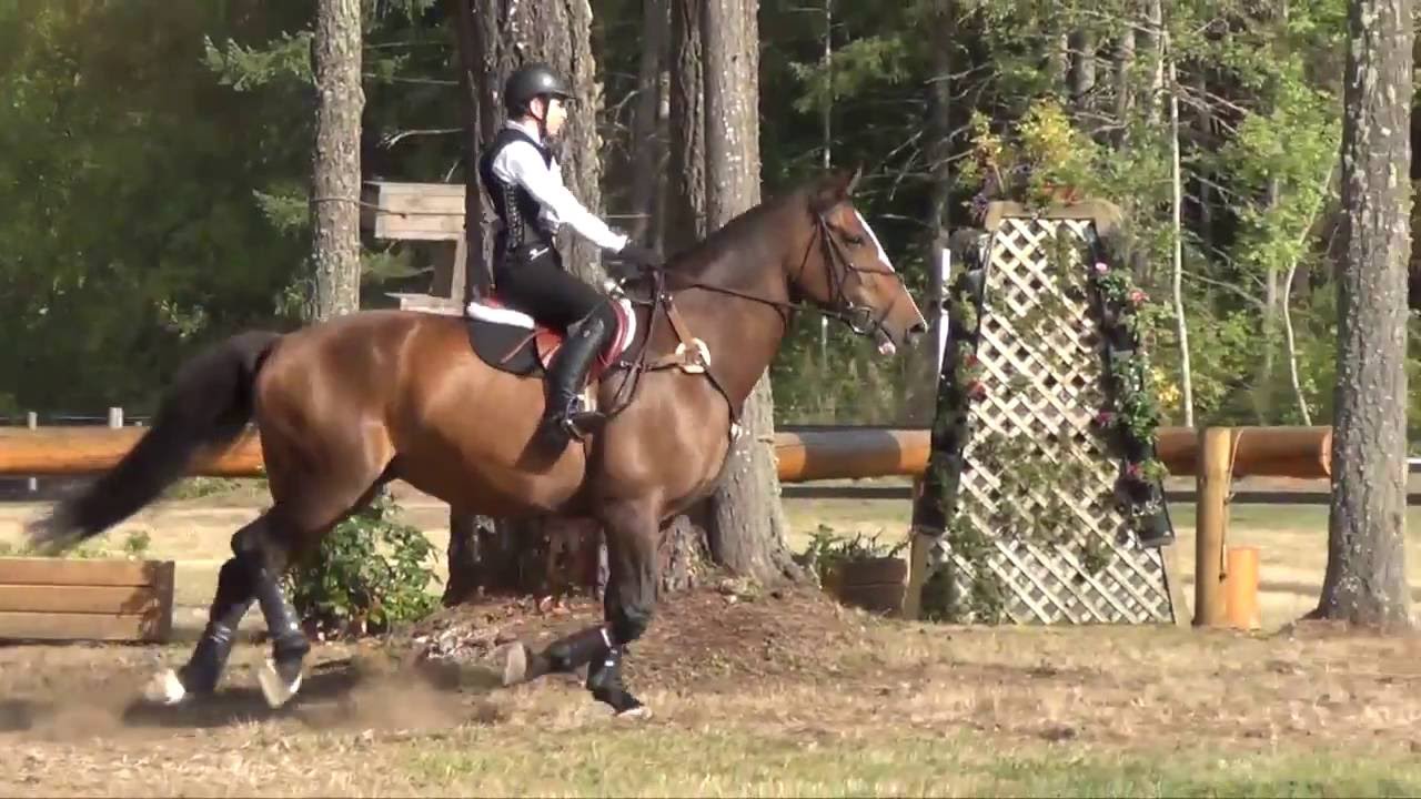 Kierra Brotherton; Aspen Farms Horse Trials; September 2016 - YouTube