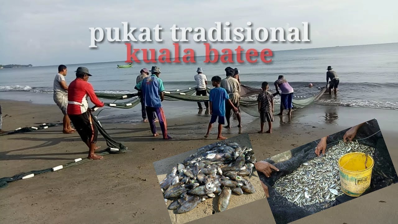 Tradisional fishing / pukat darat kuala batee, labuh pukat darat - YouTube