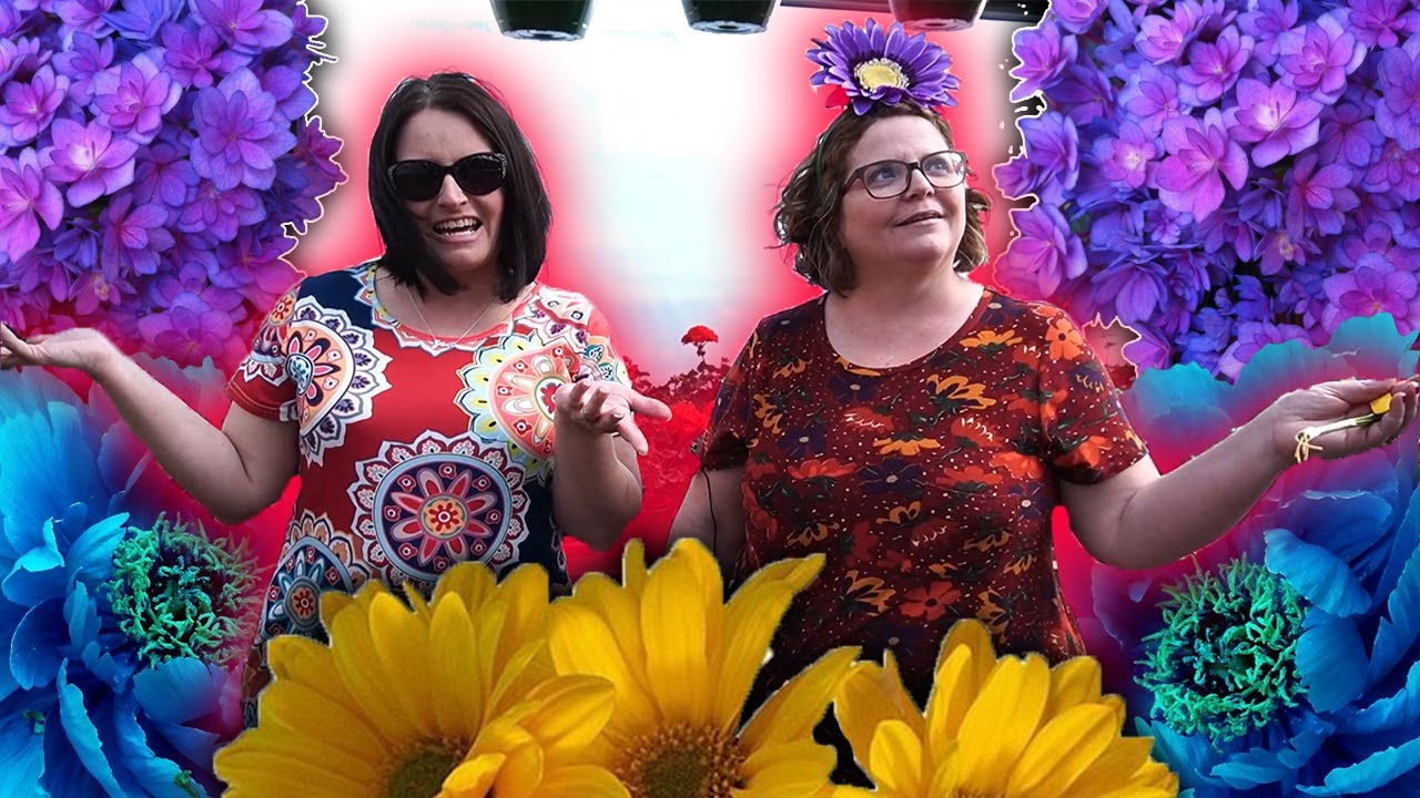 WE WENT TO A GREENHOUSE! (Zany Kids) - YouTube