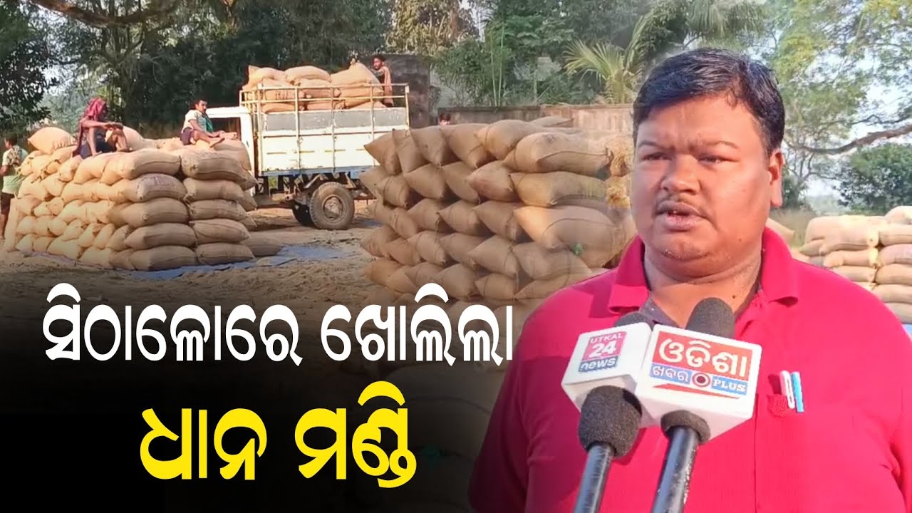 ସିଠାଳୋରେ ଖୋଲିଲା ଧାନ ମଣ୍ଡି || Niali Block | Niali News - YouTube