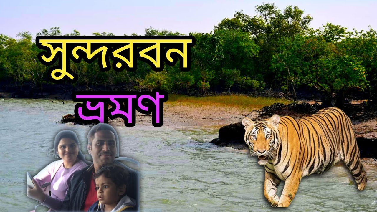 Sundarban Vlog|| সুন্দরবন ভ্রমণ|| Sundarban travel 🐅 - YouTube
