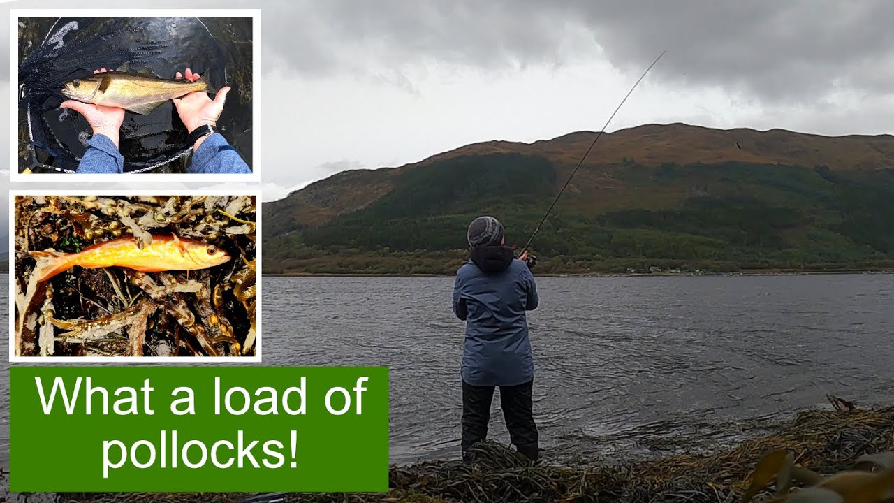 Lure fishing a Scottish sea loch for pollock - YouTube
