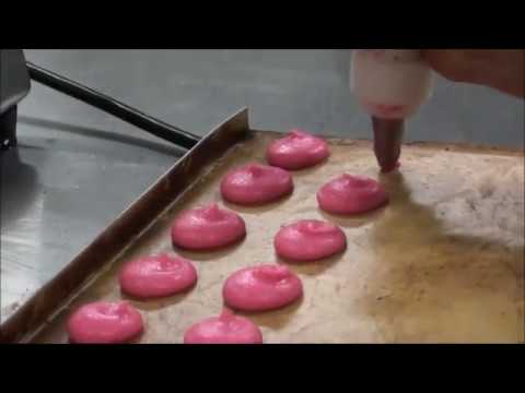 HY-912 Macaron making machine 馬卡龍成型機 - YouTube