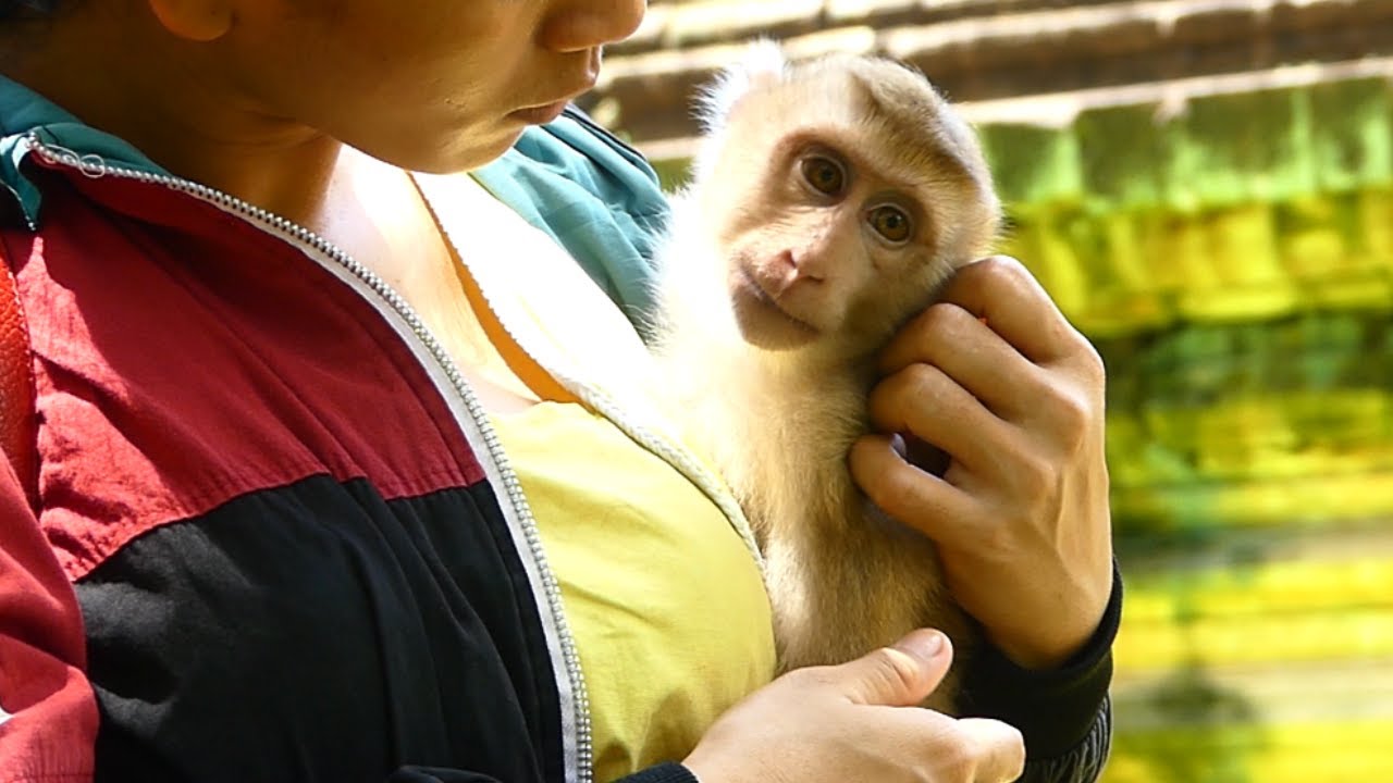 Lil Benjo Feel Upset & So Tired After Loose Meal 1day By Absence mom ...