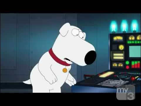 Family Guy Here's Where Brian Goes Berserk - YouTube