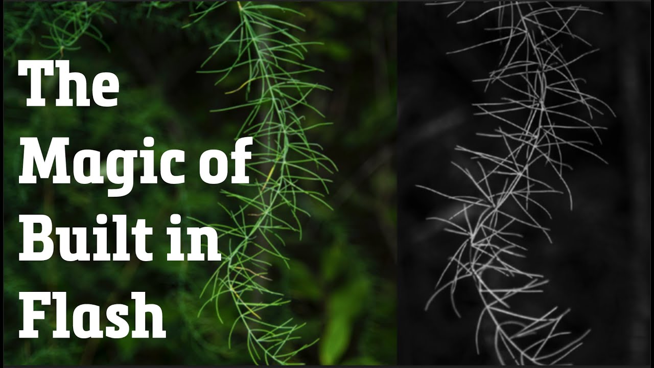 Why Built in Flash is Useful - YouTube