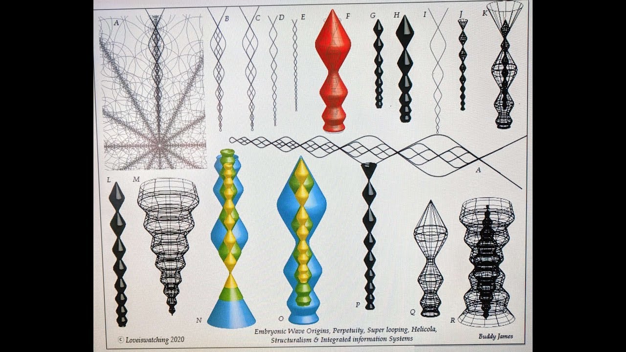 11 Embryonic wave origins, Super looping, Structuralism, Global scaling ...