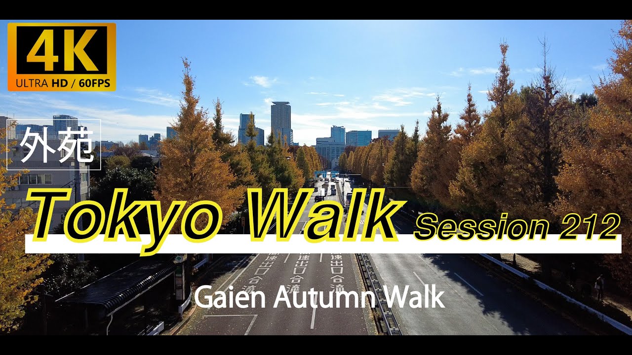 [4K Travel] Gaien Autumn Walk :Tokyo 23 Walk Session 212 - YouTube