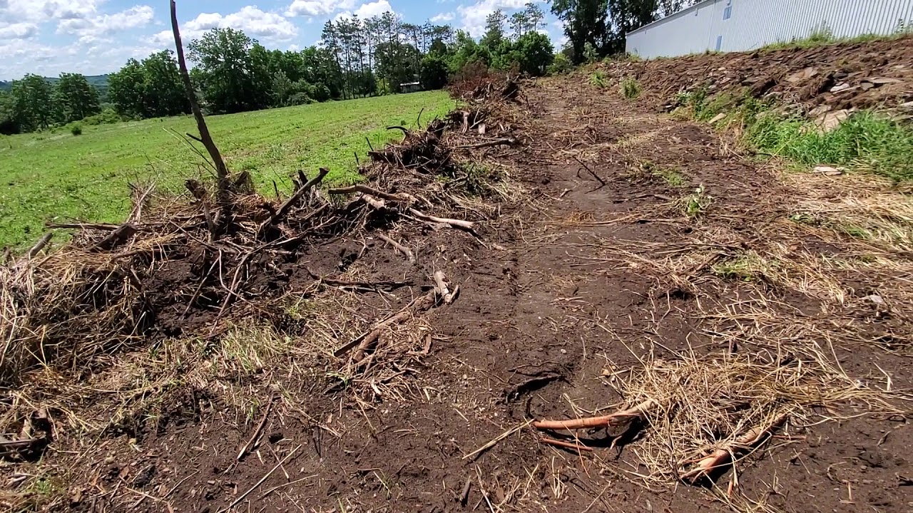 Excavating a fence row with trees and grading bank 2 - YouTube