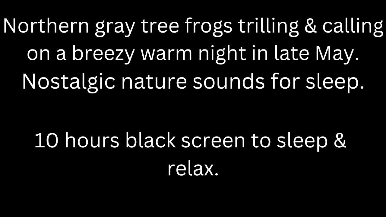Gray tree frogs trilling & calling in late May, frog sounds tinnitus ...