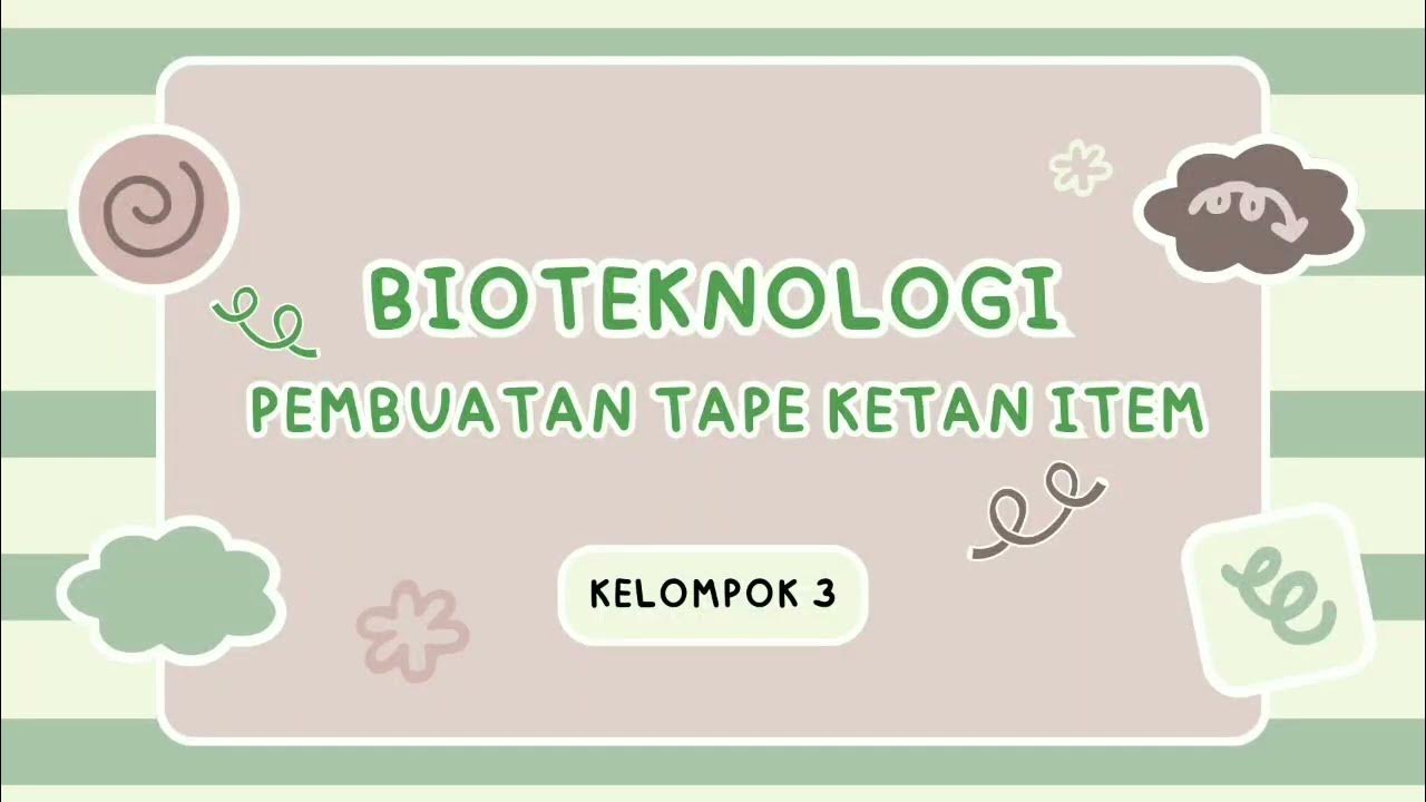Proses pembuatan bioteknologi modern Tape (kelompok 3) - YouTube