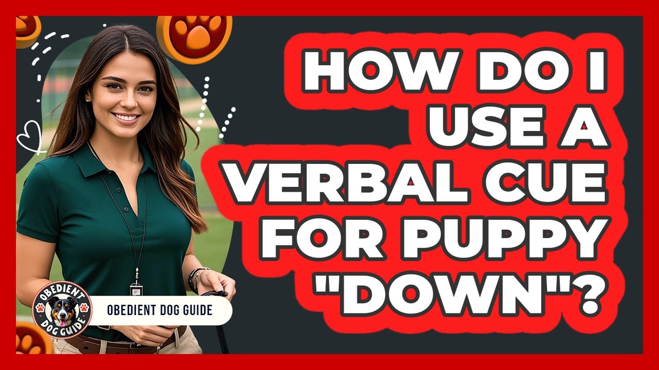 How Do I Use A Verbal Cue For Puppy "down"? - Obedient Dog Guide - YouTube