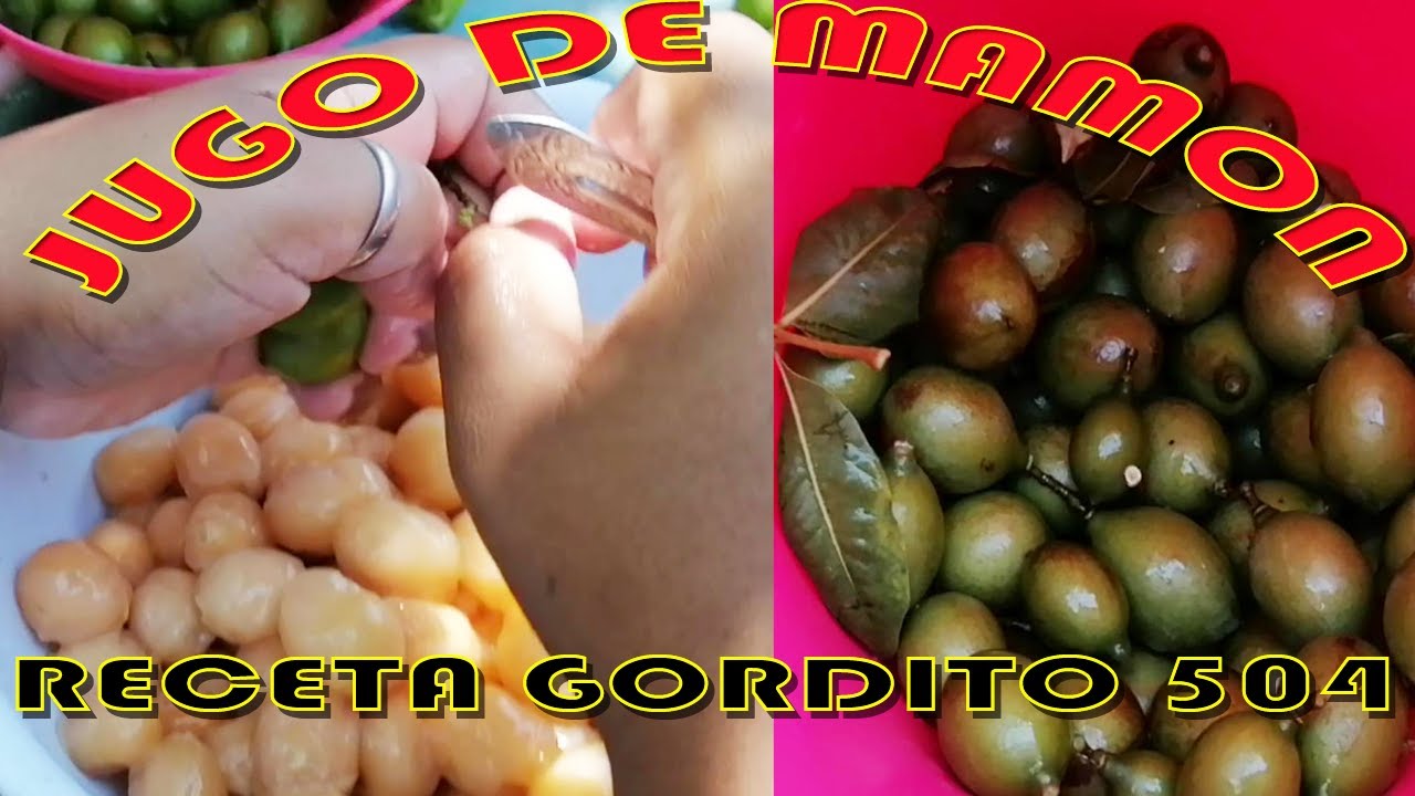 REFRESCANTE Jugo de la fruta del ma... món... RECETA DEL GORDITO 504 ...