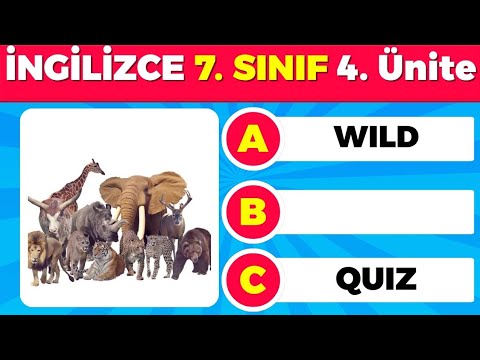 2025 - 2026 7. Sınıf İngilizce 4. Ünite Wild Animals Kelimeler, Anlamları, Okunuşları ve Quiz