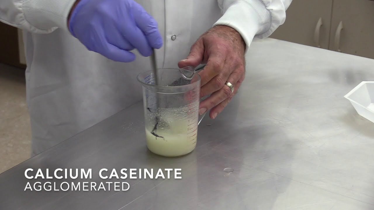 OFP Ingredients- Calcium Caseinate Comparison - YouTube