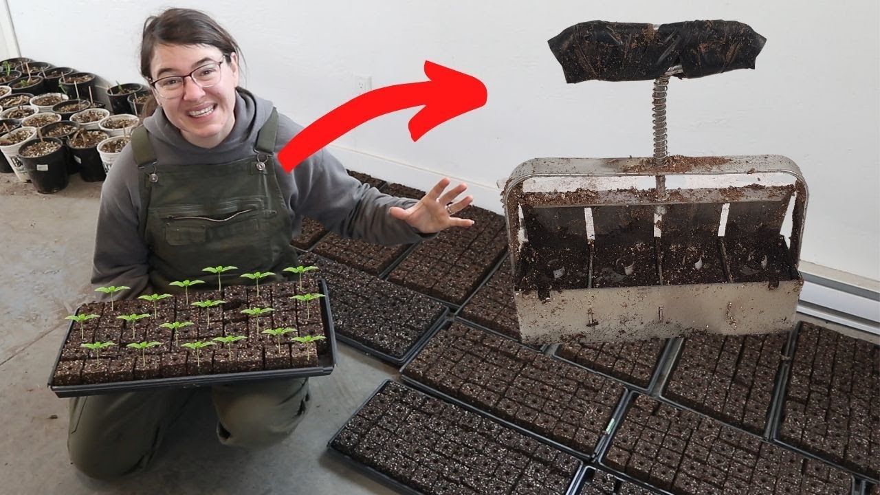How To Soil Blocks 101 | Zero Waste Plastic Free Gardening and Farming ...