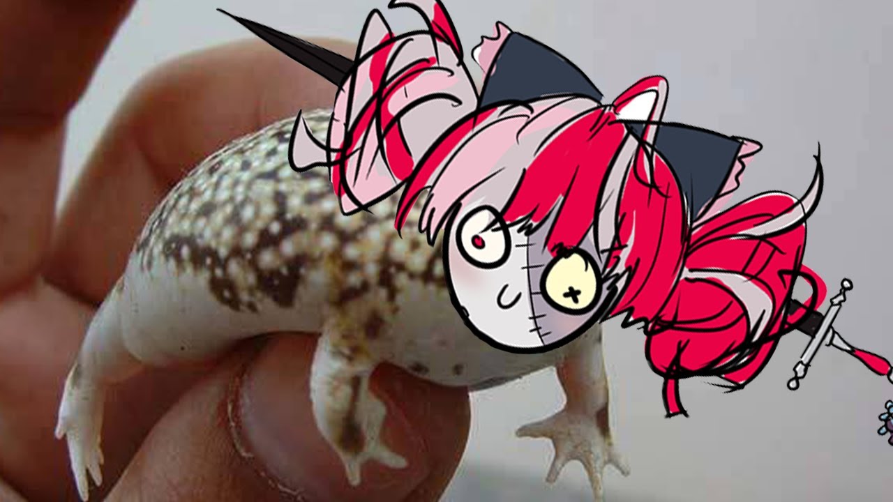[Hololive] A Tiny Angry Squeaking Frog | Kureiji Ollie | VTuber - YouTube