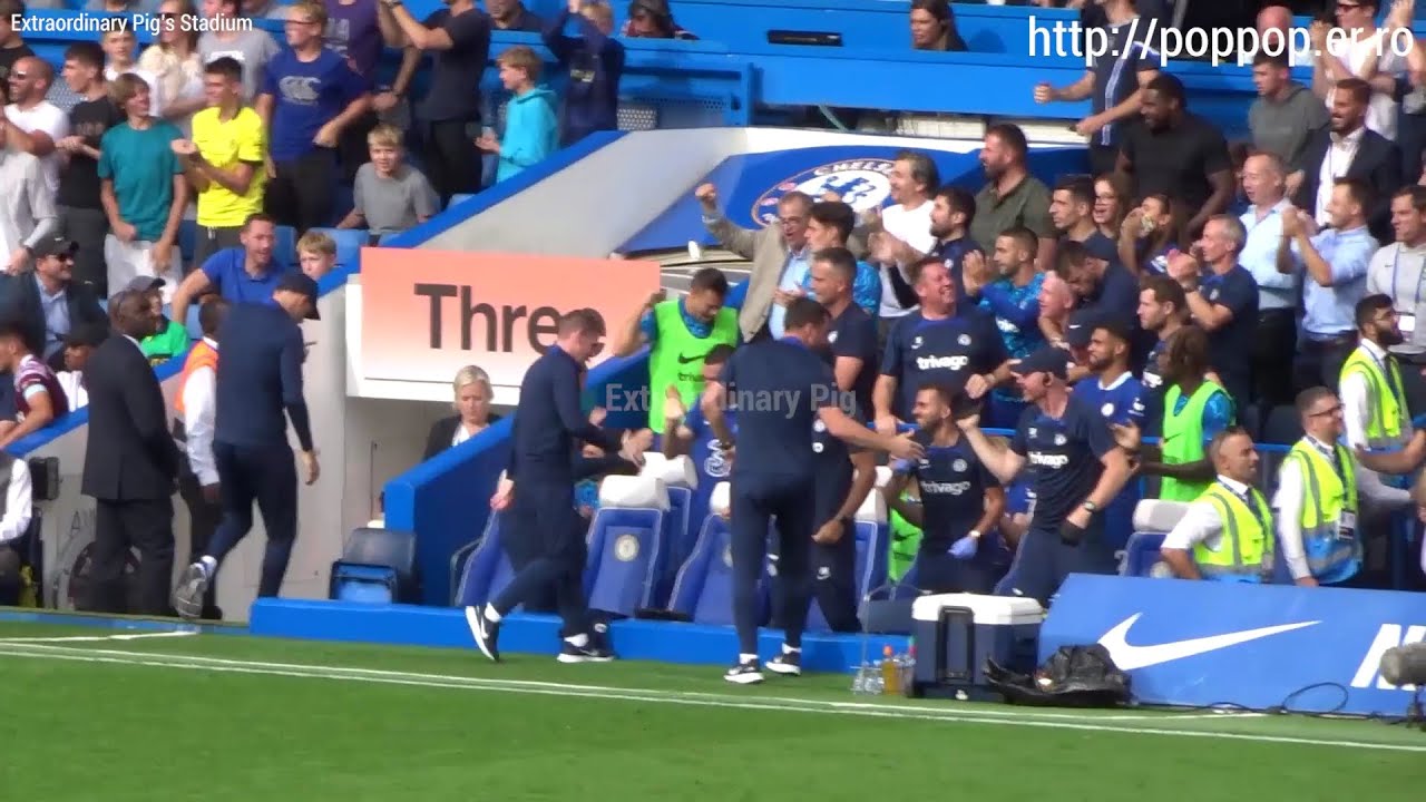 After Chelsea goals Chelsea Bench,players Reaction 20220903 Chelsea vs ...