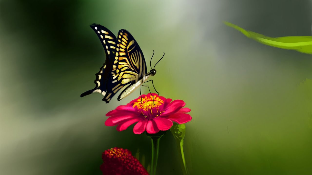 How to draw Butterfly and Flower In Free Software Krita ( Tutorial ...