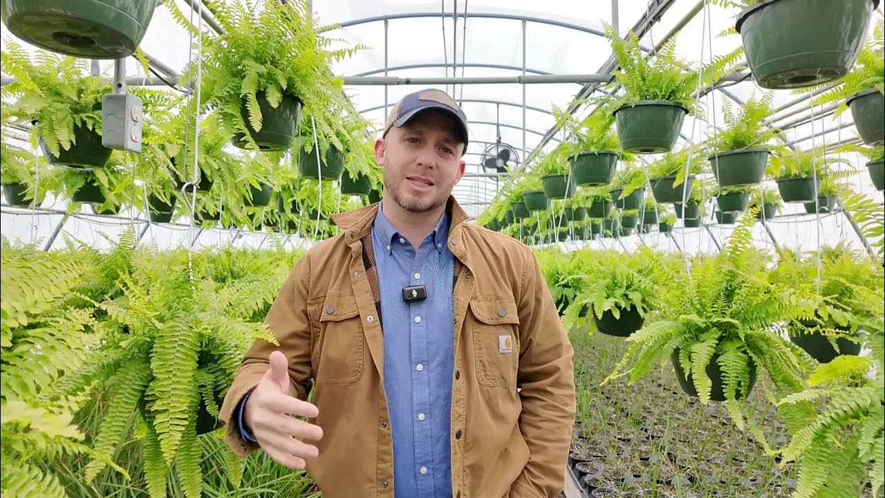 Ag Career Series - Greenhouse Owner | Jonathan Shell - YouTube