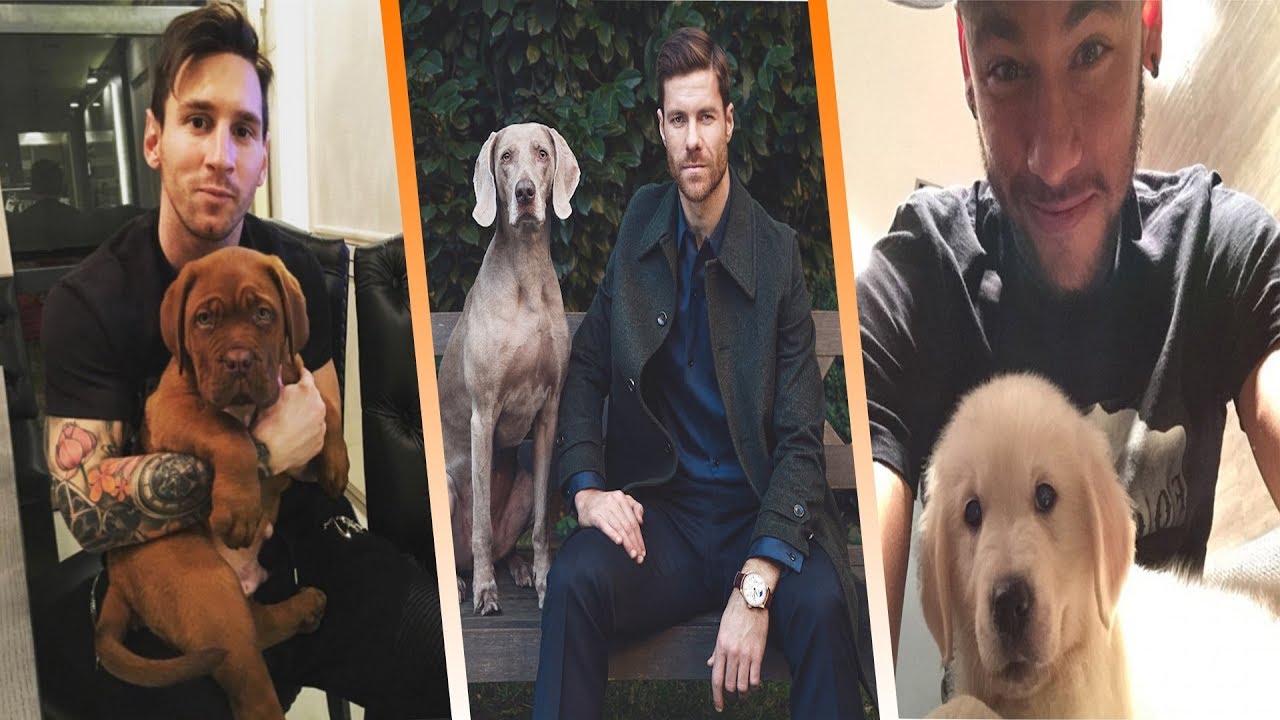 Famous Footballers & Their Dogs Vote For The Cutest - YouTube