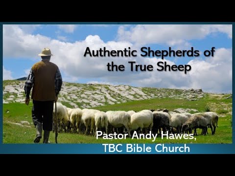 Authentic Shepherds of the True Sheep - YouTube