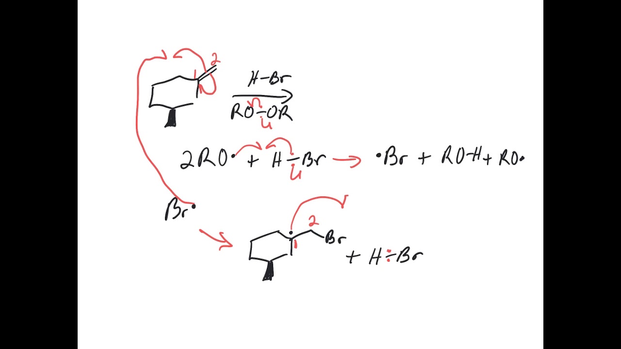 HBr with peroxides reacting with an alkene - YouTube
