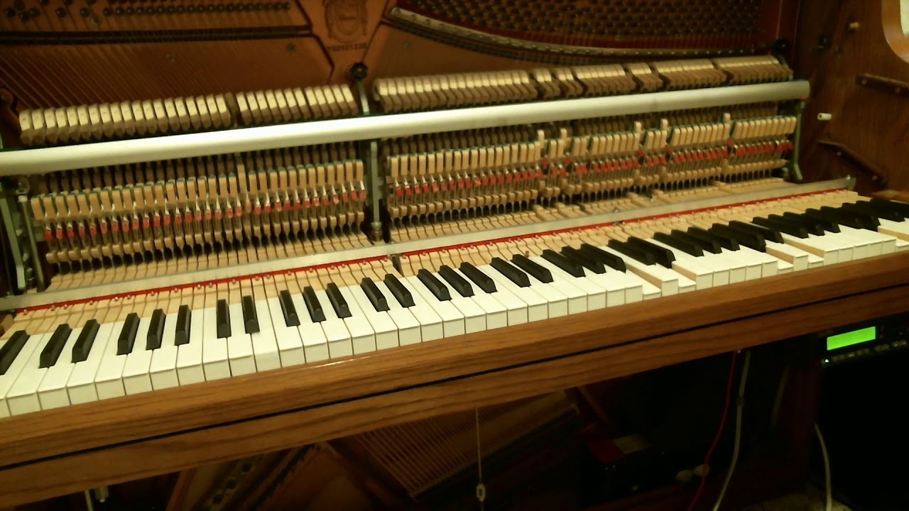 My Green Hill Zone MuseScore arrangement on Player Piano - by Keeper1st ...