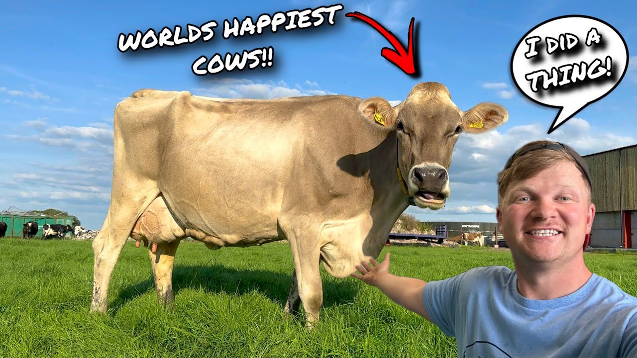 WE FINALLY GOT IT MOVING!!... THE PERFECT RESULT = HAPPY COWS!! - YouTube