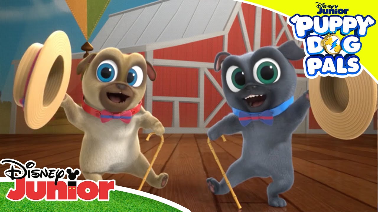 🤪 De bedste sange fra Hvalpevenner | Disney Junior Danmark - YouTube