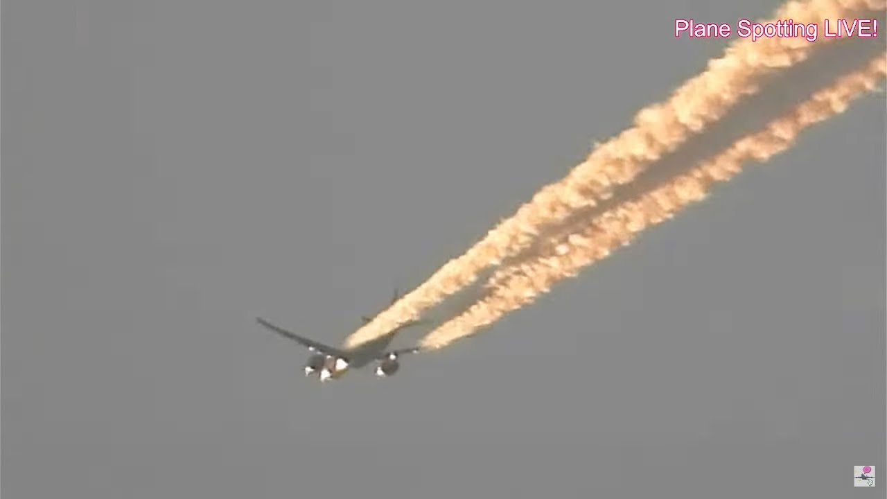 伊丹空港！Plane Spotting LIVE!! Osaka International Airport 02/18/2024 Vol.2 ...