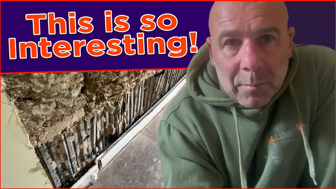 I Just Have To Show You This! Damp Sam On The Job! - YouTube