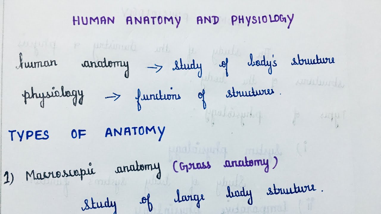 Human anatomy and physiology | D pharm notes | Basics of human anatomy ...