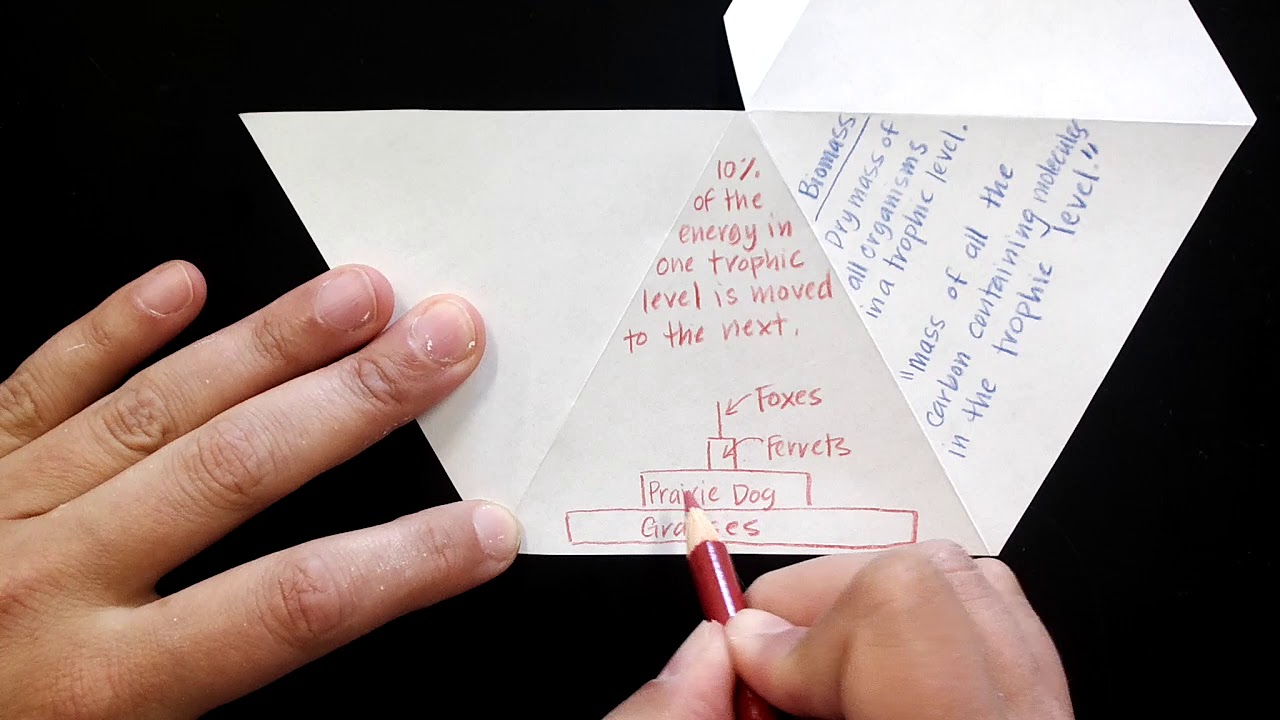 Pyramid Notes - YouTube