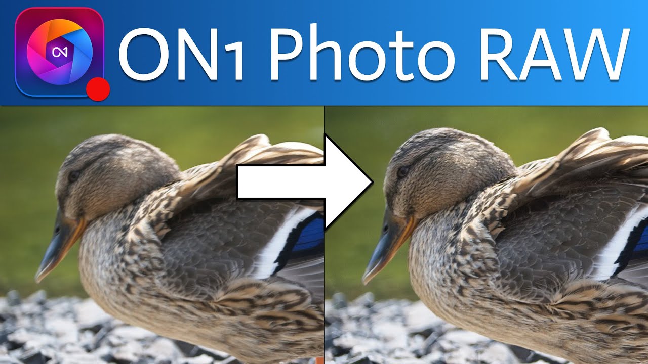 ON1 Photo Raw 2023 I NoNoise AI & Tack Sharp AI I Snapshot Funktion I 27.09.22 - YouTube