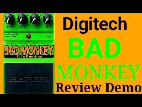 Digitech Bad Monkey Tube Overdrive Pedal Review Demo - YouTube