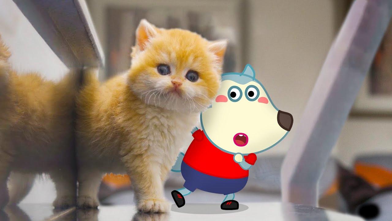 Cute Kitten and Wolfoo 🐶 Wolfoo in Real Life ! Funniest Cats And Dogs ...