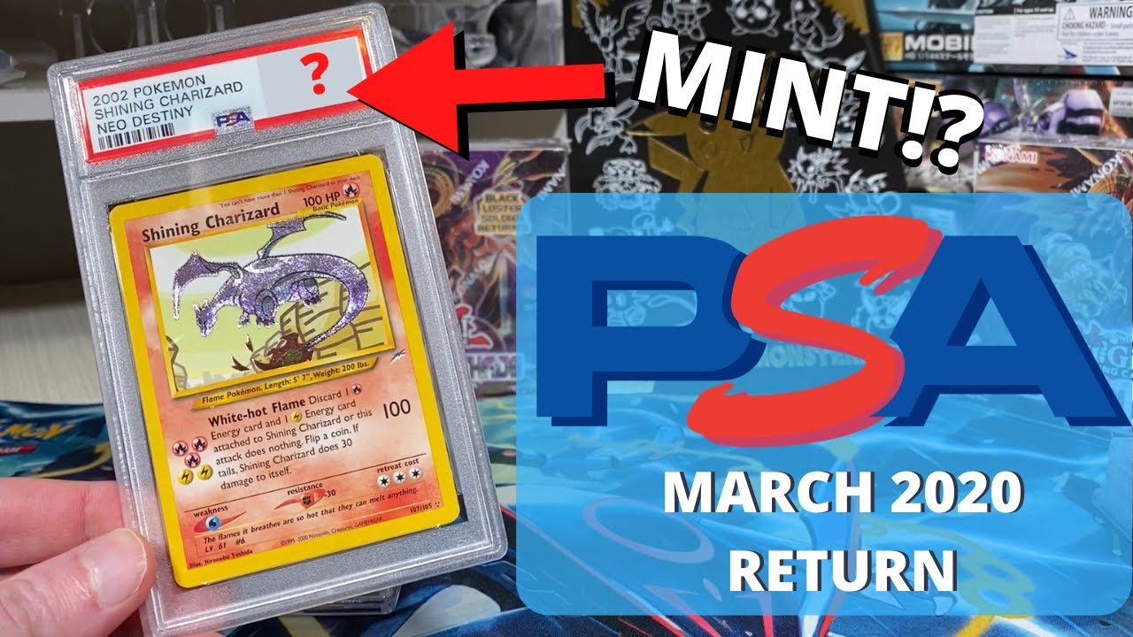 Has PSA lost their minds? PSA Return - March 2020 | Pokemon PSA Returns ...