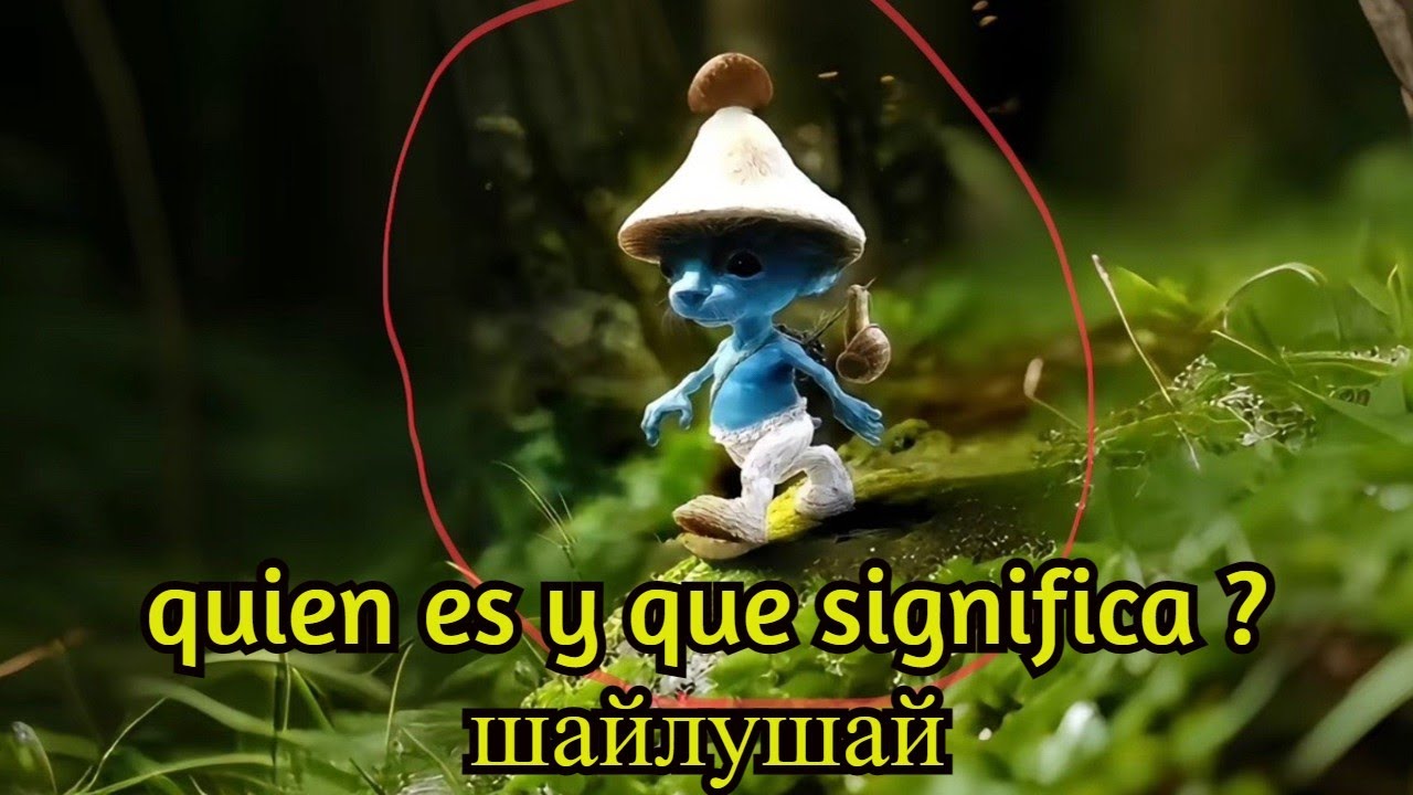 шайлушай el gato pitufo esta dominando todo tiktok - YouTube