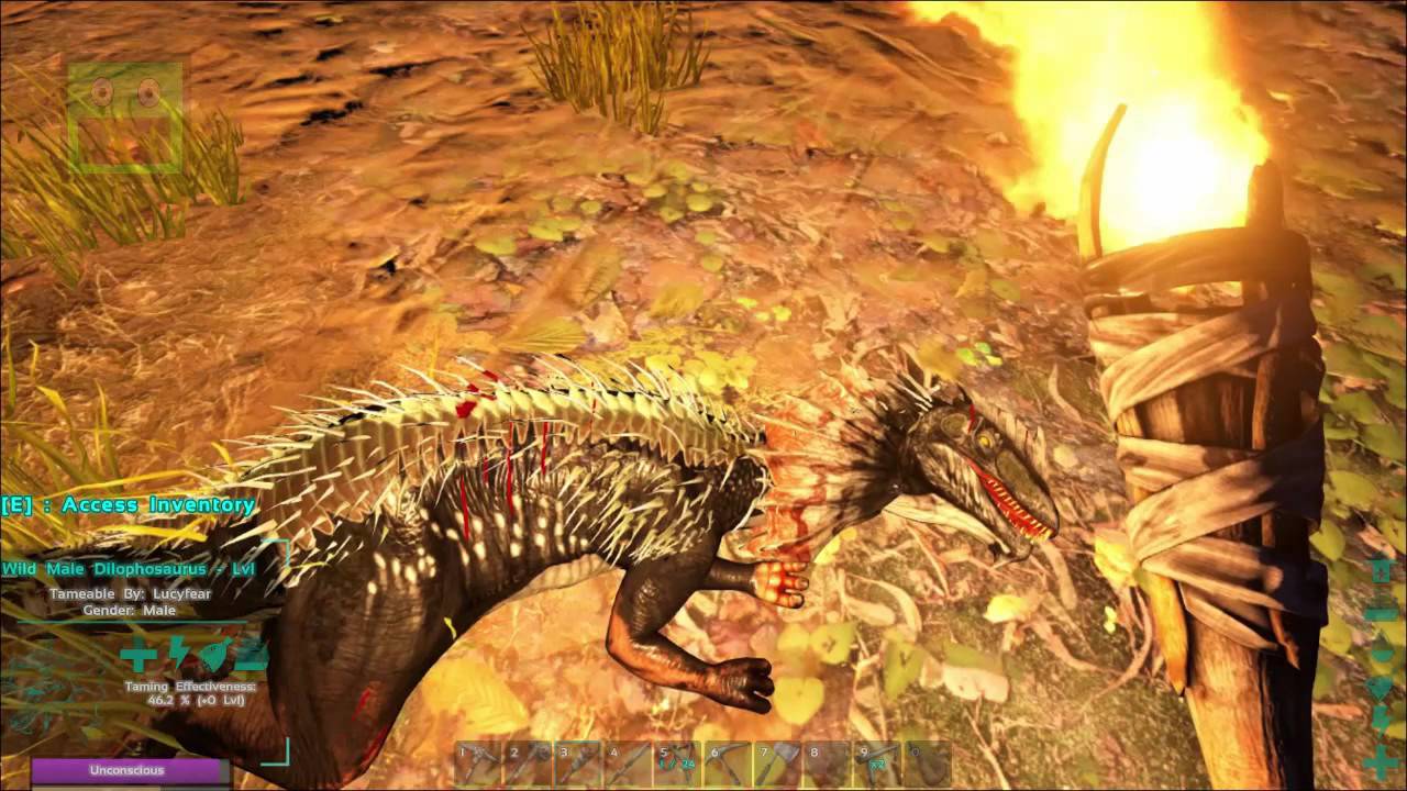 Ark: Survival Evolved Tame A Spitter - YouTube