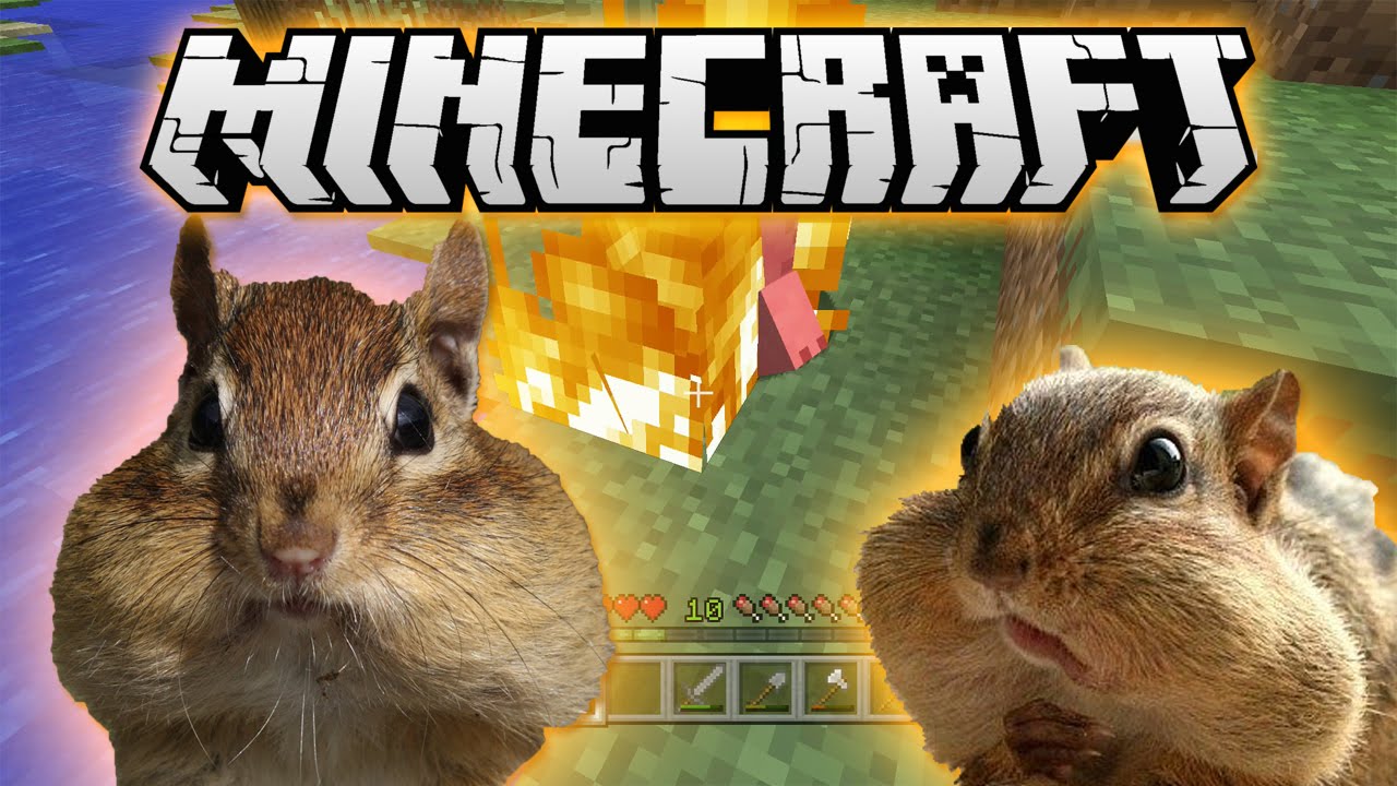 Chipmunks Playing Minecraft Again!! - YouTube