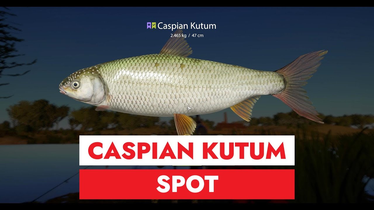 RUSSIAN FISHING 4 - RF4 - РУССКАЯ РЫБАЛКА 4 - AKTHUBA CASPIAN KUTUM ...