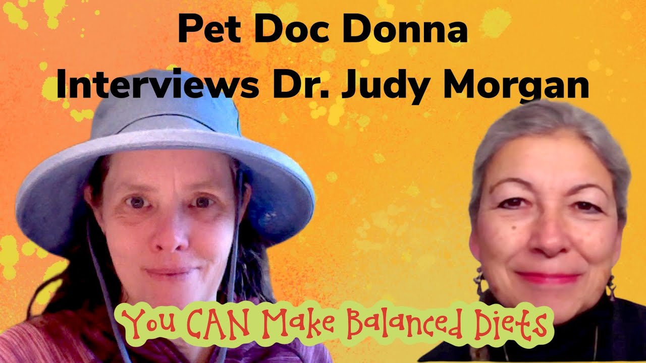 Pet Doc Donna interviews Dr. Judy Morgan--whole foods, how to stay ...