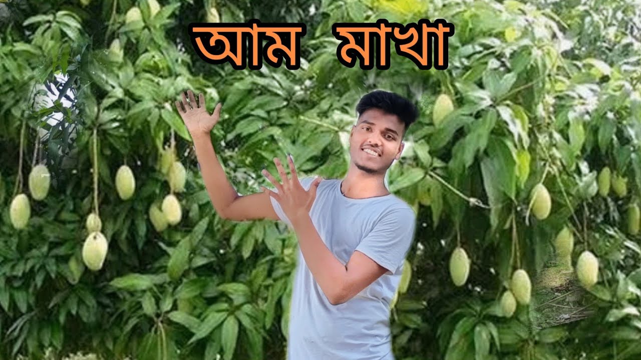 এই বছর এ প্রথমবার আম মাখা খেলাম mango chat recipe - YouTube