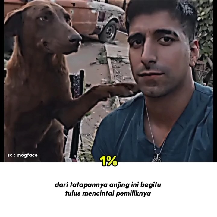 KETULUSAN SI ANJING #anjing #animal - YouTube